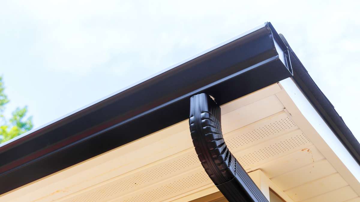 Expert Roof Gutter & Down Pipe | TMR Roof Repairs Kew